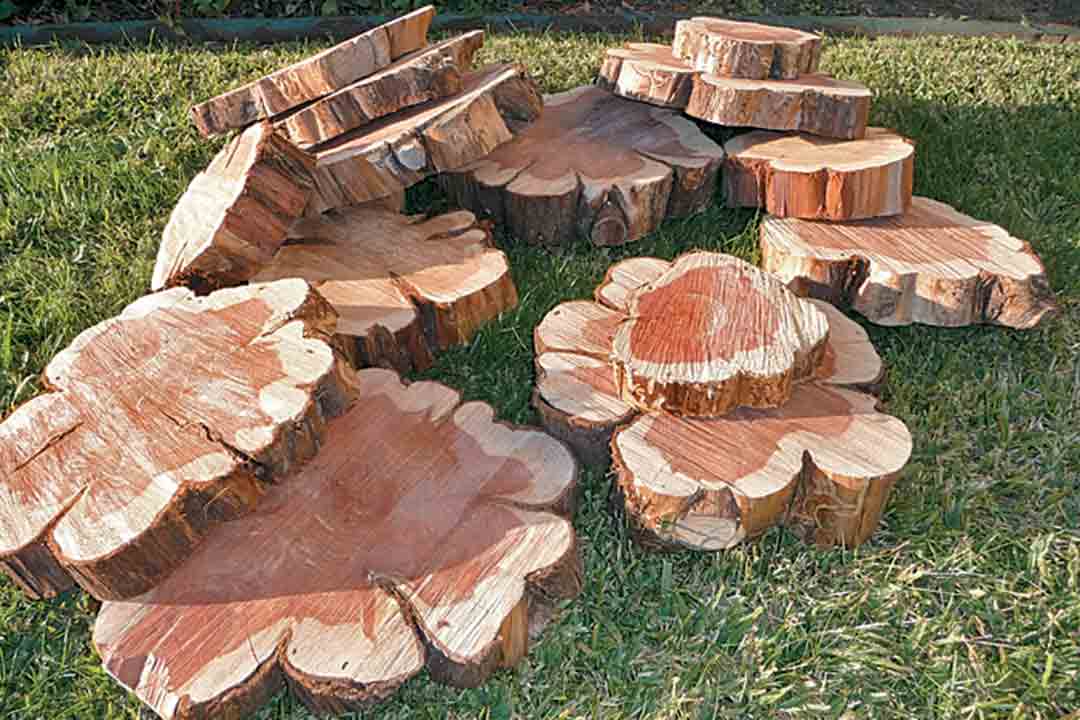 Trends in Playground Design and Amenities